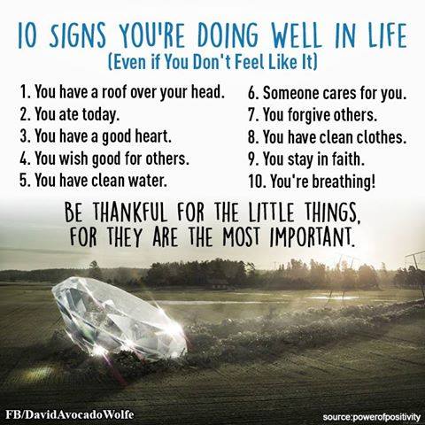 10 signs you’re doing well in life – The Distinct Dot