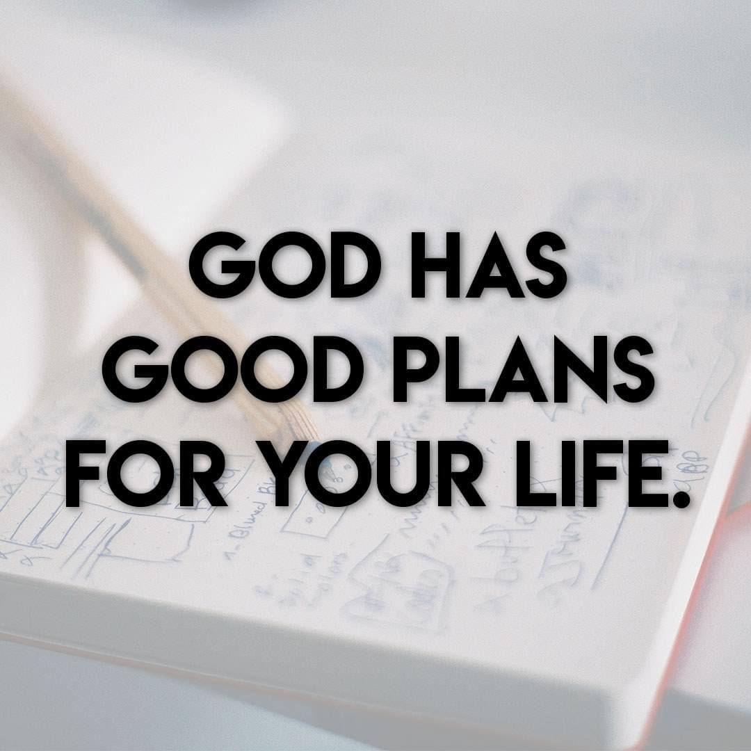 His plans – The Distinct Dot