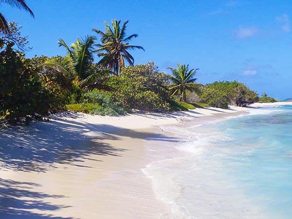 Distant shores – The Distinct Dot