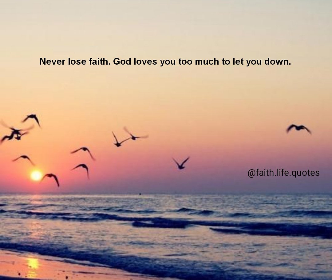 Never let down – The Distinct Dot